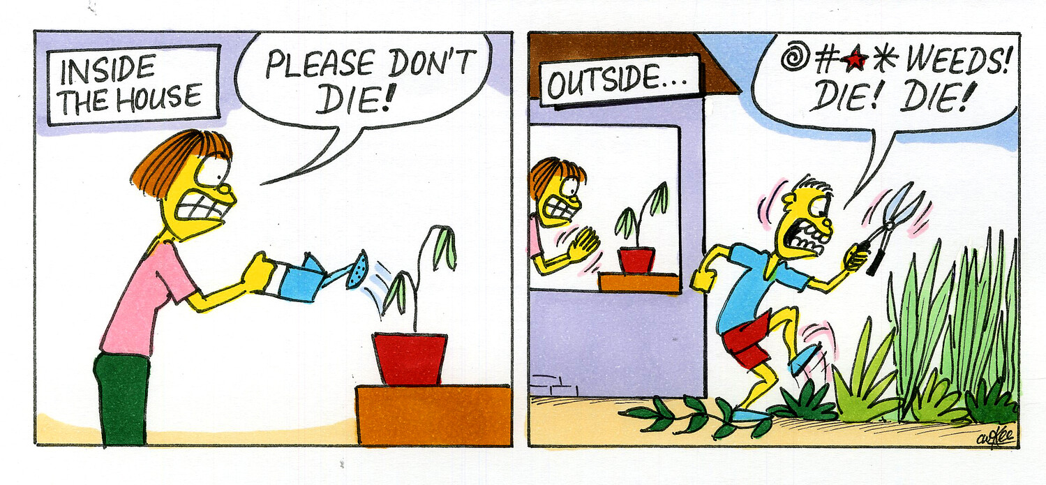 Comics - Kee’s World - Lifestyle | The Star