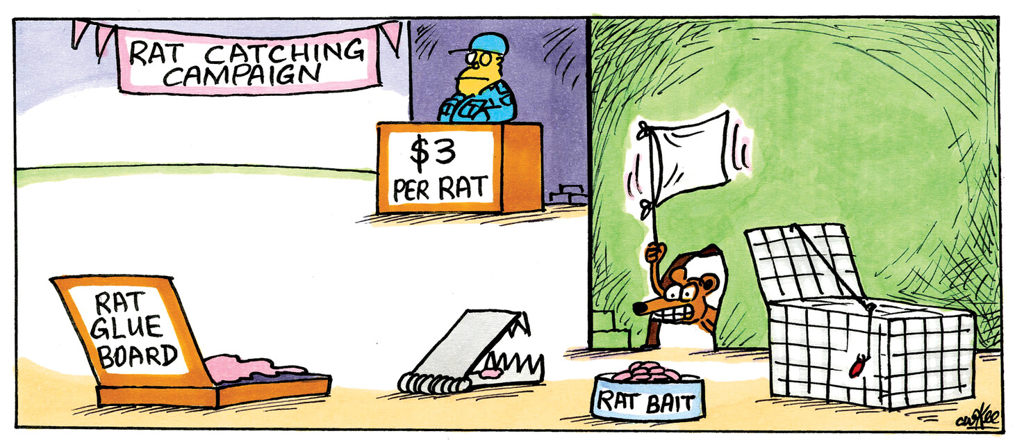 Comics - Kee’s World - Lifestyle | The Star