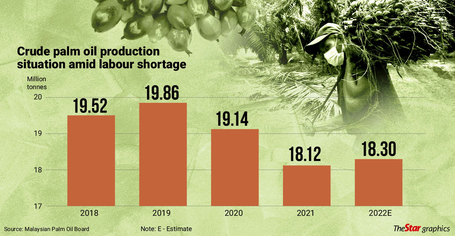 Uncertainty over rise in CPO output | The Star