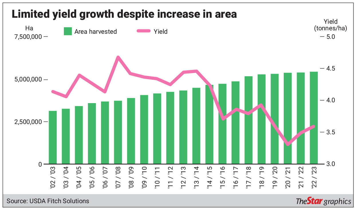 Planters need sustained high CPO prices | The Star